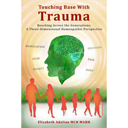 Touching Base with Trauma - Reaching Across the Generations - Emryss