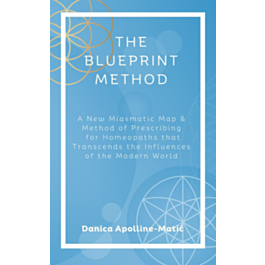 The Blueprint Method - Emryss