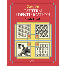 Zang Fu Pattern Identification Study Guide - Emryss